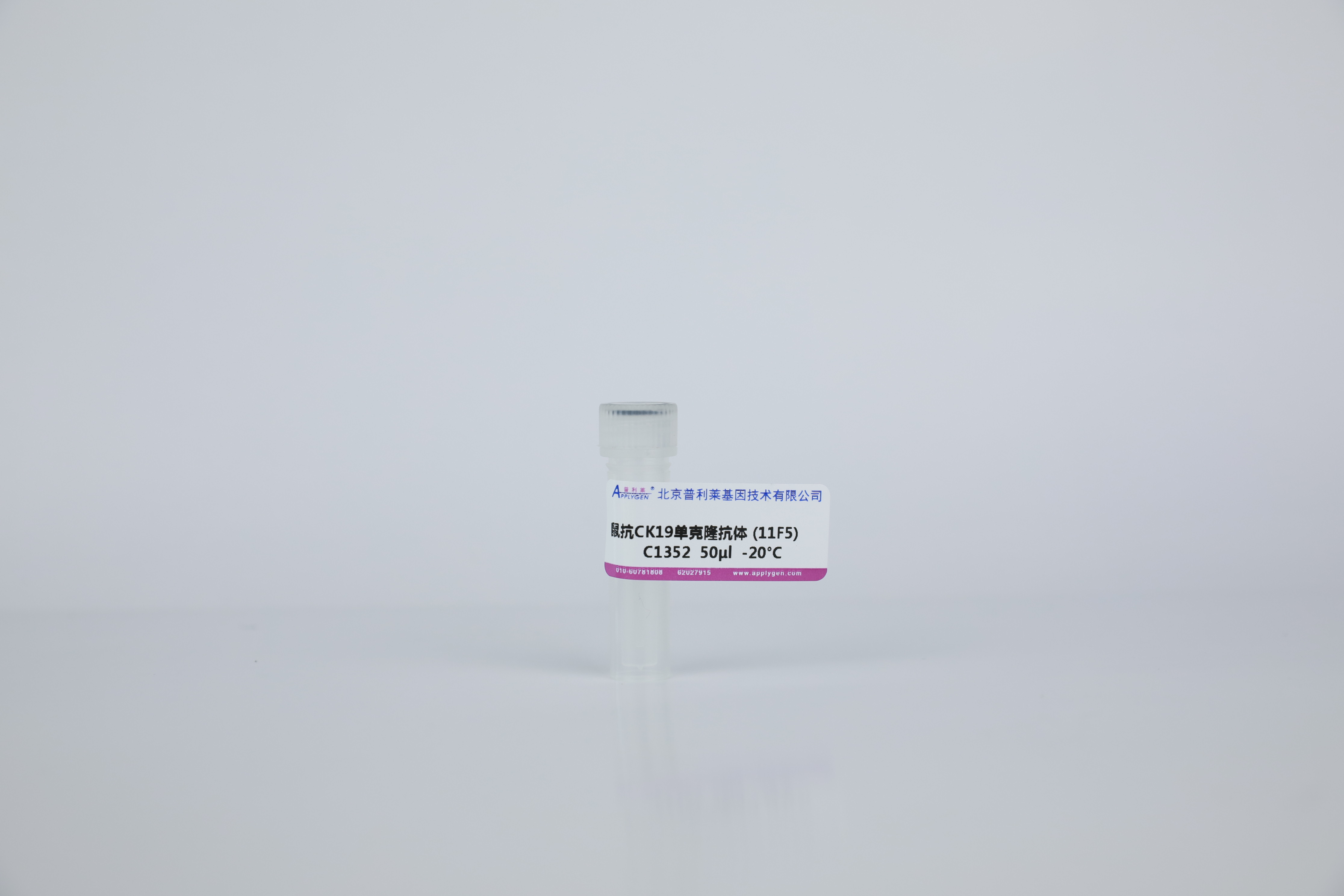 鼠抗CK19单克隆抗体 (11F5) CK19 Mouse Monoclonal Antibody (11F5) C1352_北京普利莱基因 ...