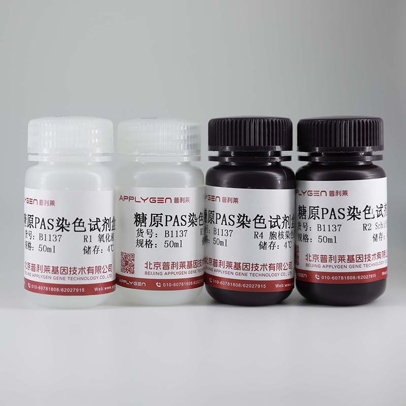 糖原PAS染色试剂盒 PAS StainKit B1137_北京普利莱基因技术有限公司