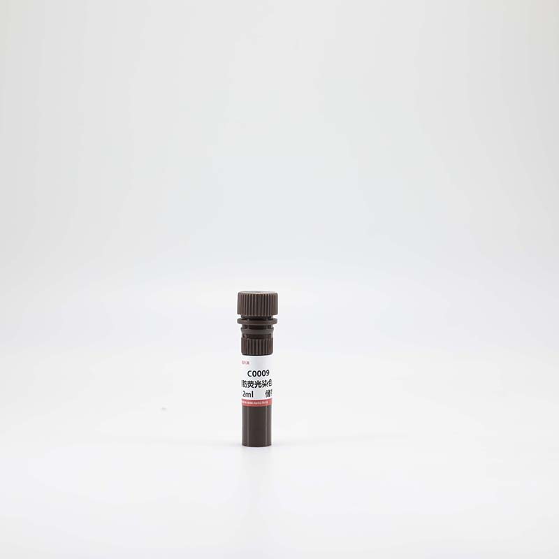 尼罗红脂肪荧光染色液（500X） Nile red Staining Solution, 500x C0009_北京普利莱基因技术有限公司