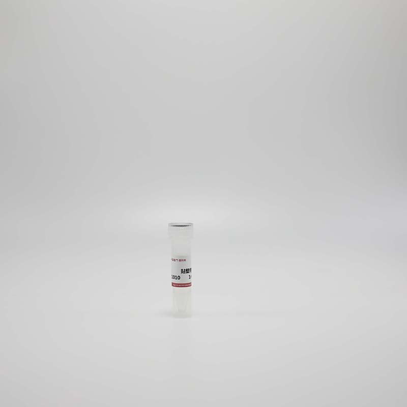 贴壁得®（细胞贴壁粘附剂200x 可替代多聚赖氨酸） C1010_北京普利莱基因技术有限公司