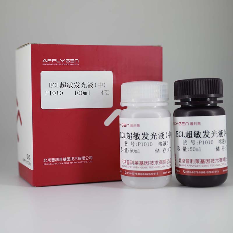 ECL超敏发光液(中)(与P1030通用)-免疫印迹-蛋白检测
