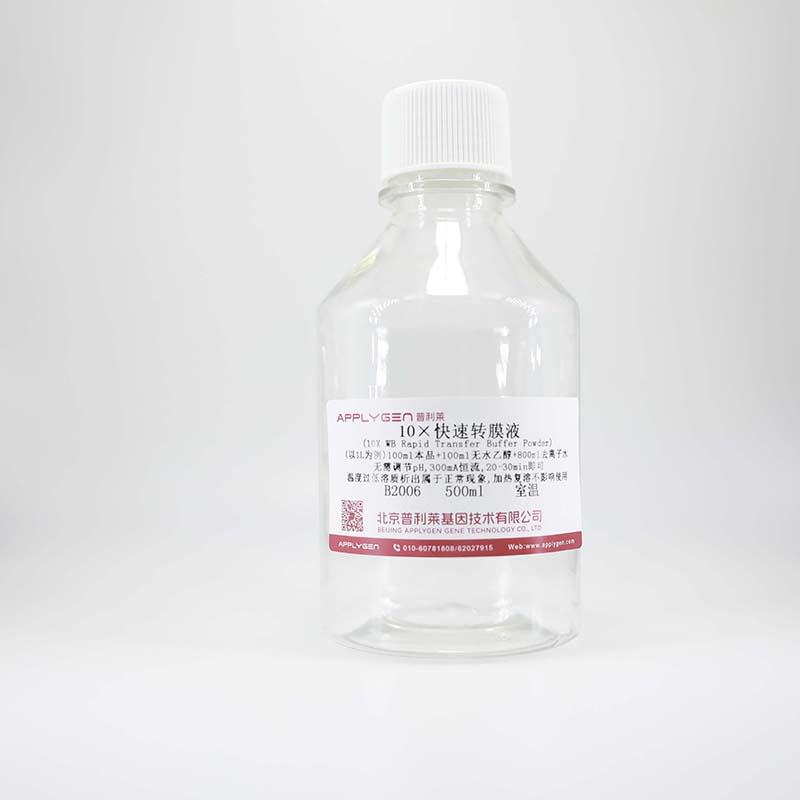 10X快速转膜液( 10X WB Rapid Transfer Buffer Powder) B2006_北京普利莱基因技术有限公司