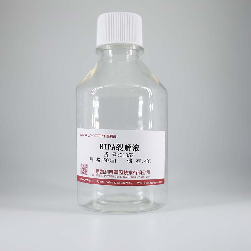 RIPA裂解液 RIPA Lysis Buffer C1053_北京普利莱基因技术有限公司