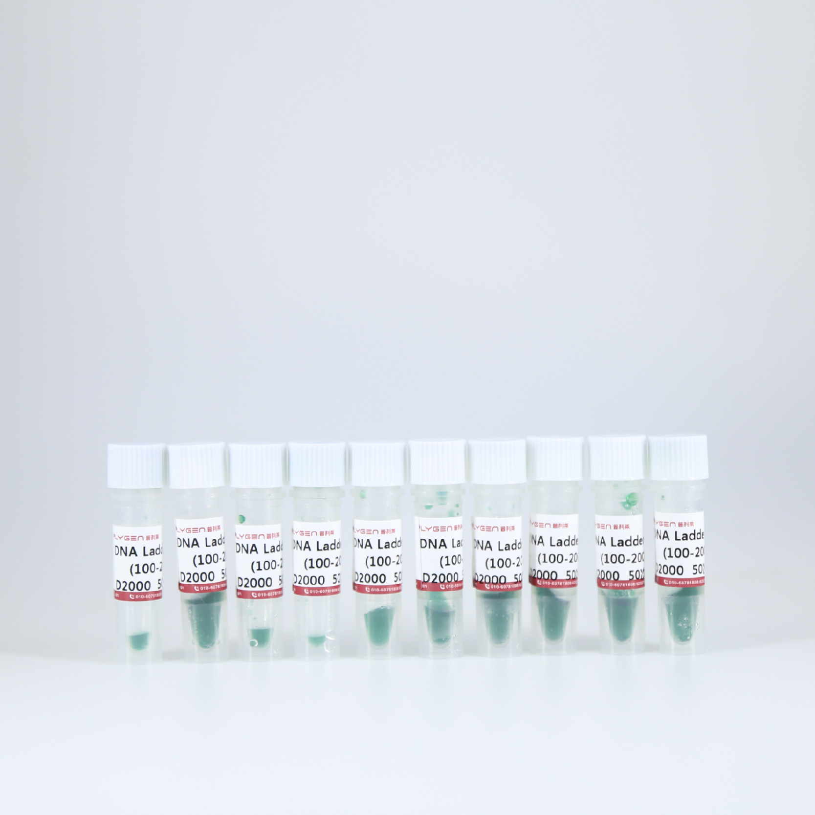 DNA Ladder Marker（100-2000bp） D2000_北京普利莱基因技术有限公司