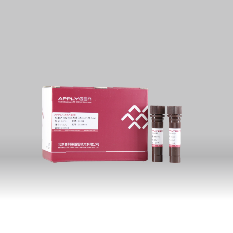 细菌活力染色试剂盒（DMAO/PI荧光法） Bacterial Viability Assay Kit(DMAO & PI) B5001_北京 ...